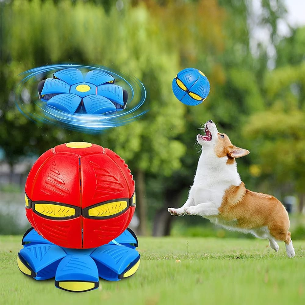 Boopa™ | Flying Saucer Ball – Sunny Snouts
