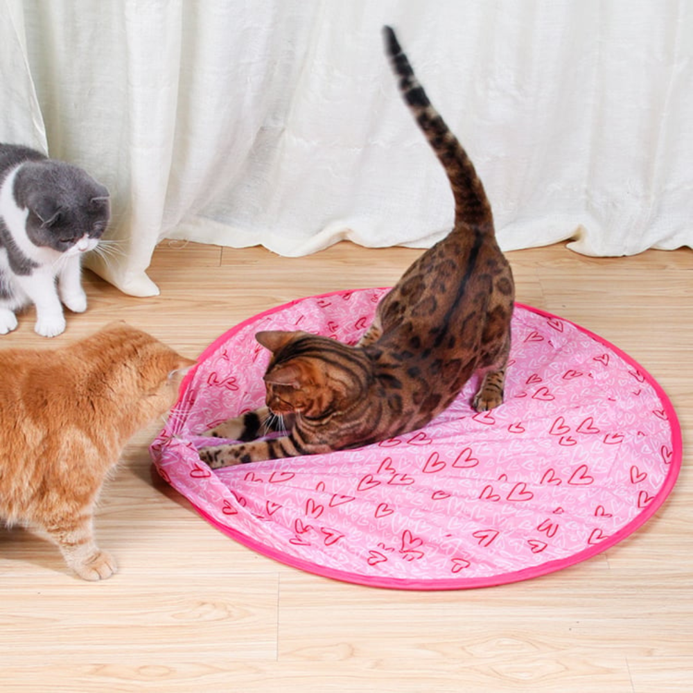 BOUNCING BALL CAT TOY – Sunny Snouts